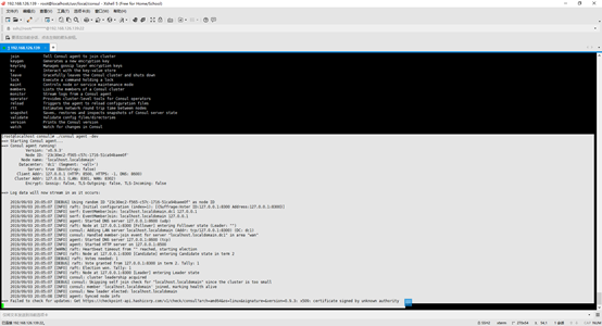 CentOS7下安装Consul和自启动配置_centos7 consul自启-CSDN博客