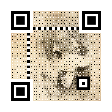 python myqr 模块 制作 静态 动态 二维码_myqr 模块python-CSDN博客