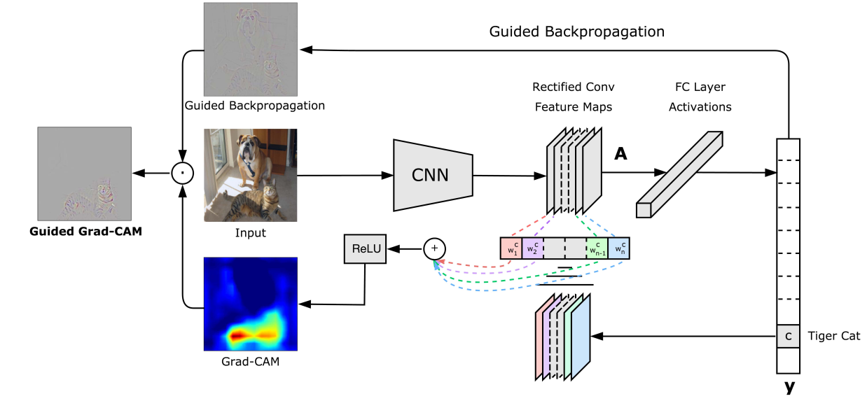 CNN可视化-Guided Grad-CAM-CSDN博客