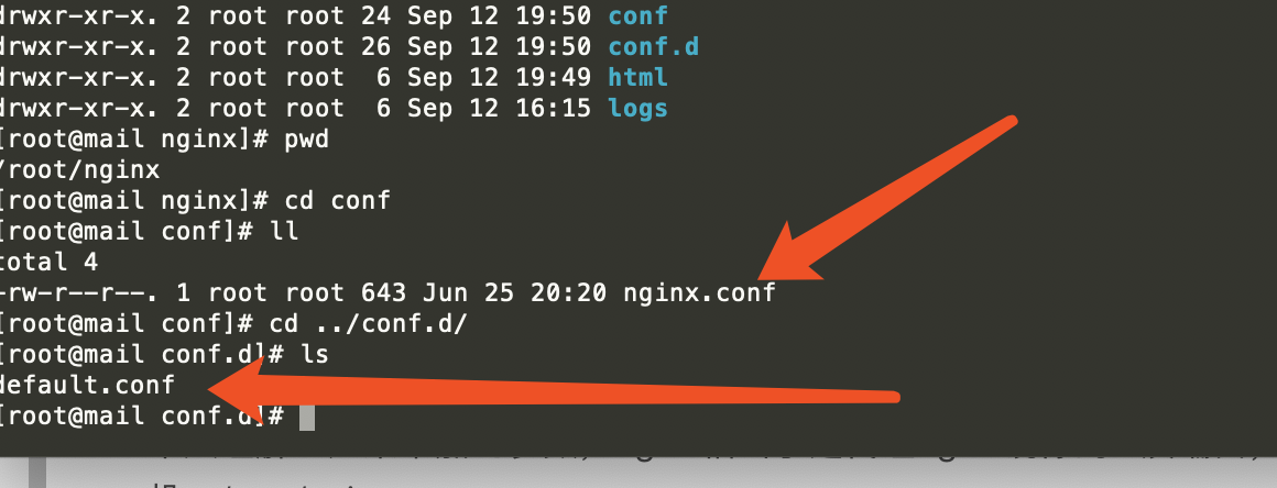 手把手教你用docker安装Nginx,并访问静态资源！！_docker nginx 配置访问静态文件-CSDN博客