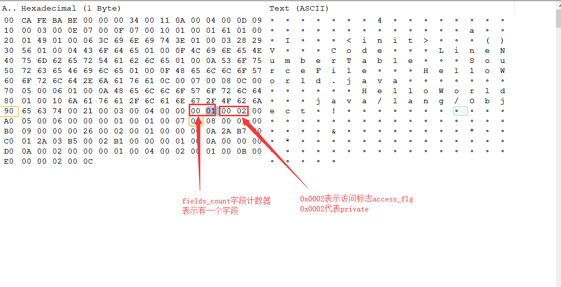 Class类文件结构——字段表结构 Csdn博客 