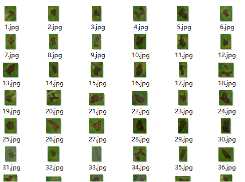 【OpenCV学习记录】HOG+SVM叶片病斑识别_svm检测热斑-CSDN博客