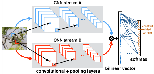 深度学习中的高阶特征-CSDN博客