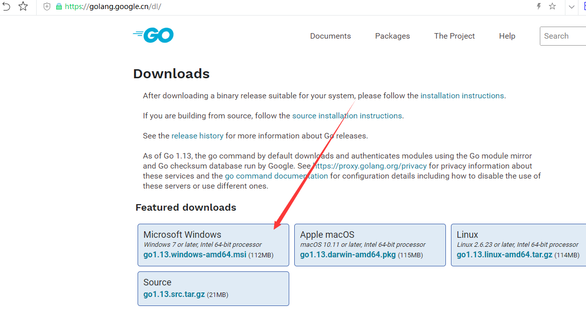 go语言安装及配置解决方案（GOPATH指向其他盘目录）_go 配置path cache-CSDN博客