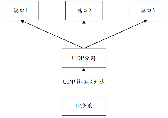 UDP的首部格式_udp首部-CSDN博客