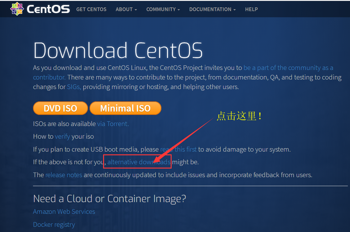 Linux CentOS镜像iso安装包，任意版本官网下载详细步骤图解_centos min.iso-CSDN博客