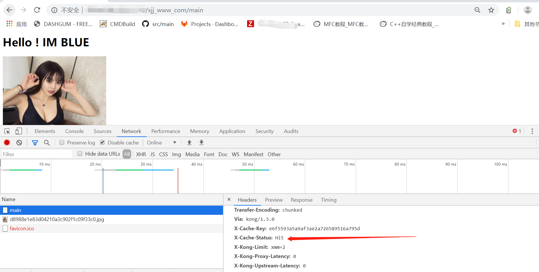 Kong的插件： Proxy Caching（入门篇）_x-cache-status-CSDN博客