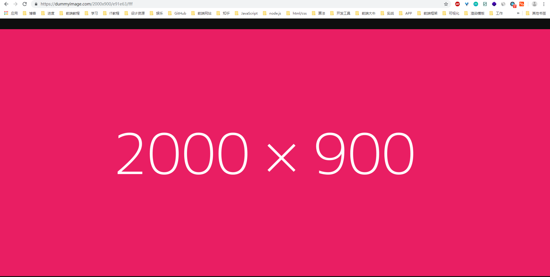 Dynamic Dummy Image Generator动态虚拟图像生成器-CSDN博客