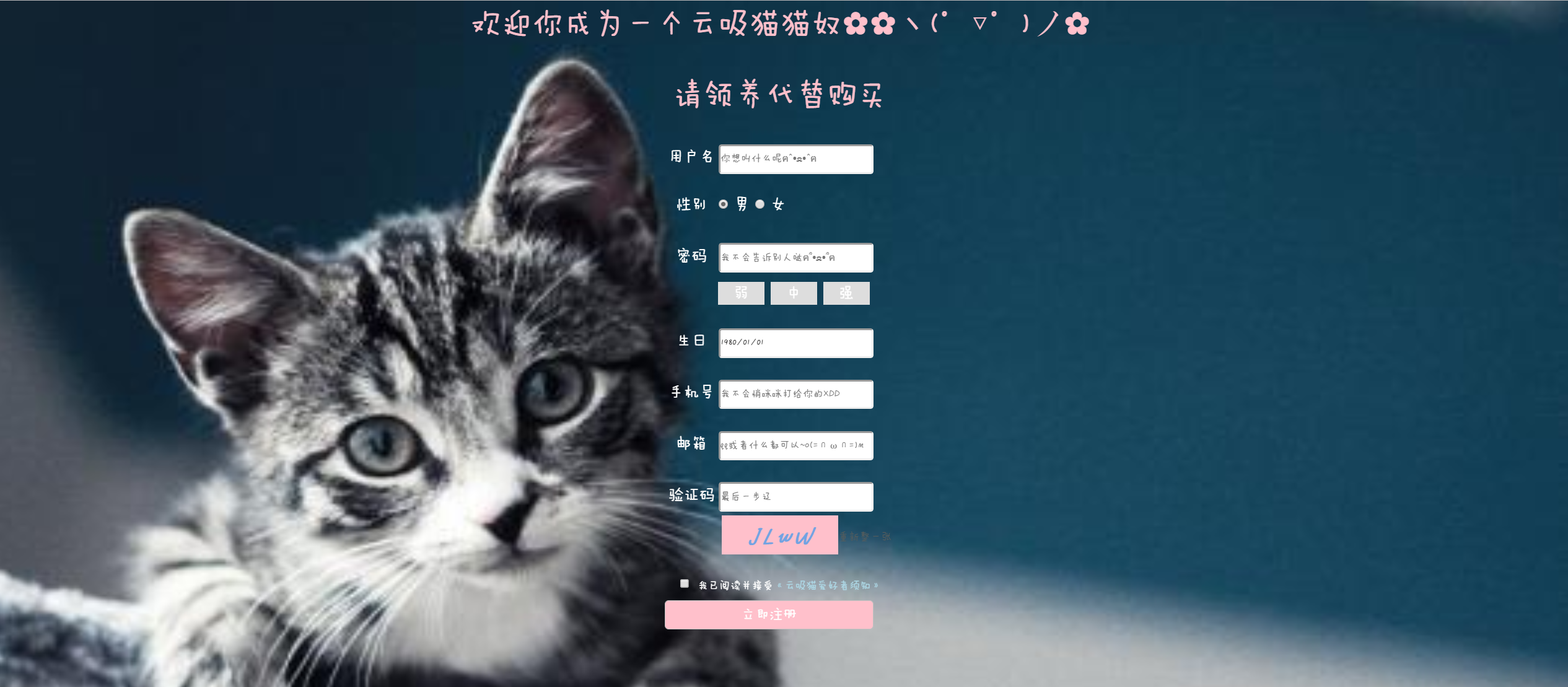 【html、css、js】注册页面实现（带验证码，密码强度验证，表格提交验证等）htmlcss登录注册页面的验证 Csdn博客