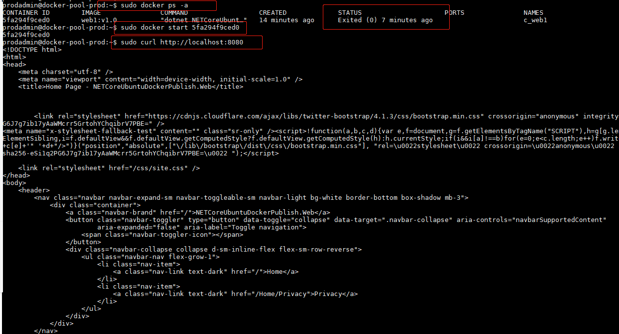 docker启动状态为Exited (0)容器_sudo docker ps -a status exited (0)-CSDN博客