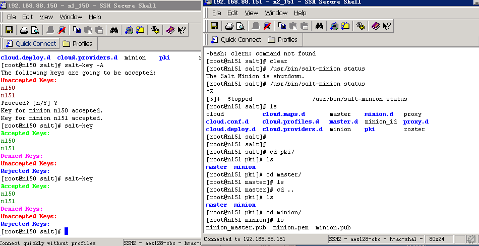 Saltstack：rror while bringing up minion for multi-master. Is master at ...