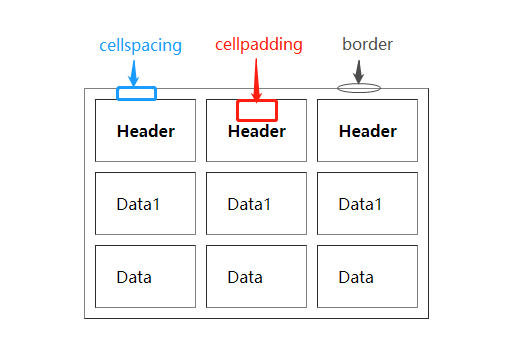 Table表单之border边框操作_table border-CSDN博客