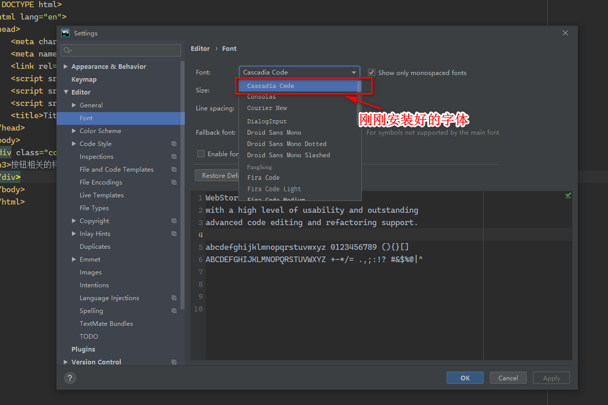 微软新字体Cascadia Code安装_cascadia code 安装-CSDN博客