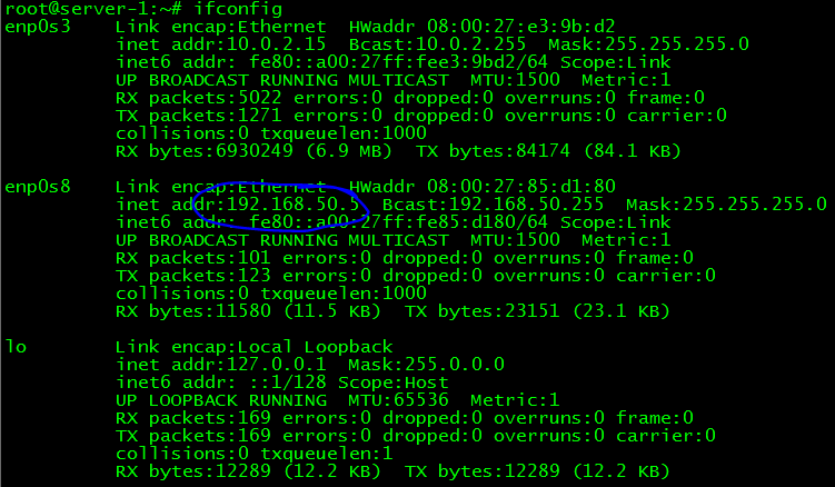 VirtualBox虚拟机Ubuntu server 16.04配置固定IP及联网（与主机可互Ping）_virtualbox ubuntu16 nat 固定ip-CSDN博客