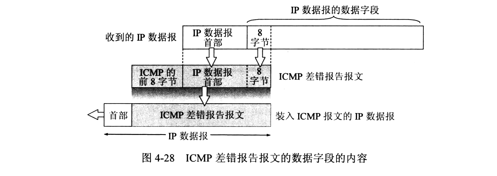 TCP/IP协议-数据格式_ip协议数据格式-CSDN博客