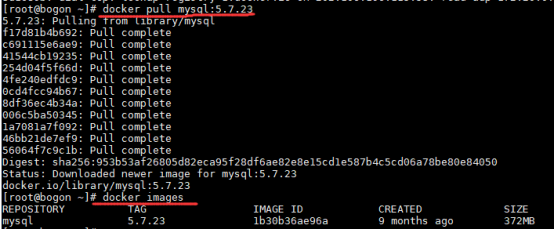 Linux服务器部署安装docker以及各种服务配置(一)_linuxdocker安装部署-CSDN博客
