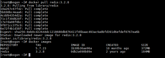 Linux服务器部署安装docker以及各种服务配置(一)_linuxdocker安装部署-CSDN博客