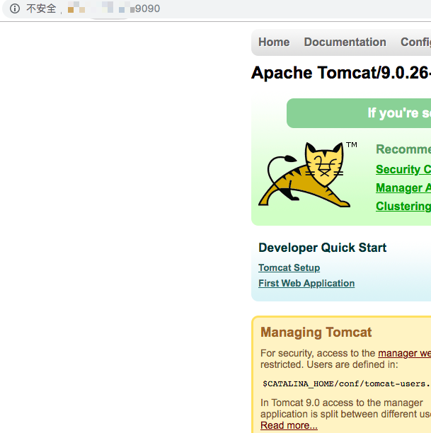 tomcat9使用nginx配置反向代理时出现：The character [_] is never valid in a domain ...