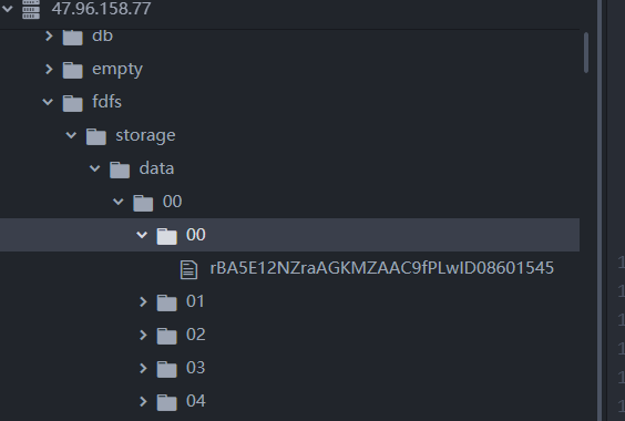 用Django 实现 Fastdfs 重写上传文件_django 重写storage 文件存储-CSDN博客