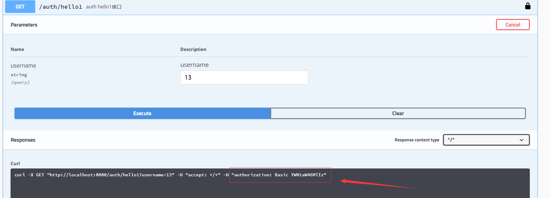 Swagger2 身份认证authenticatio（一）basicauthswagger Auth Csdn博客 