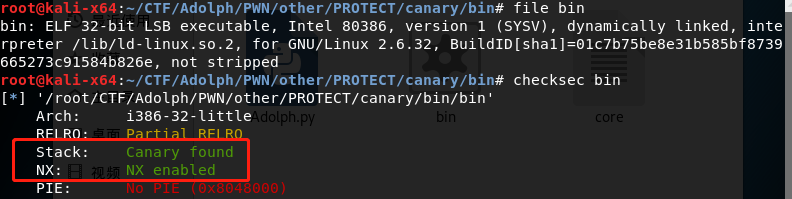 CTF中的PWN——绕canary防护1（32bit 格式化字符串漏洞leak canary 栈溢出）-CSDN博客