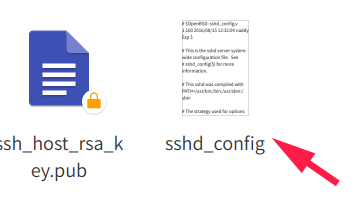 国产深度Linux系统deepin安装SSH远程登录服务_deepin os 安装ssh-CSDN博客