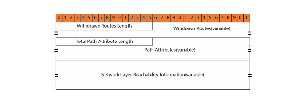 BGP（2）：BGP 的报文格式_bgp ls update 消息示例-CSDN博客