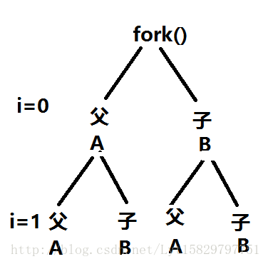 Linux中的fork()和clone()函数_fork clone-CSDN博客