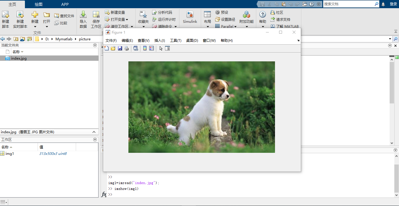 Matlab入门系列——读取图片及神经网络alexnet分类matlab中的alexnet怎么用 Csdn博客