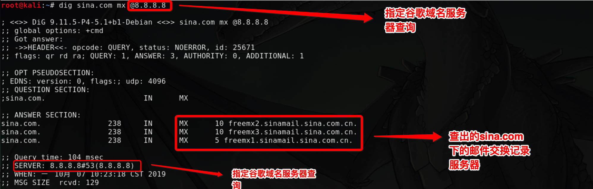 06dns信息收集——dig命令dig查询dns服务器bind版本信息 Csdn博客 