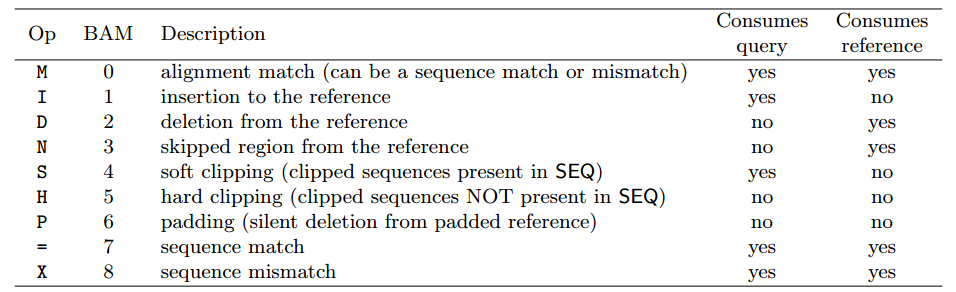samtools及bam文件的相关知识_samtools view -f_卡西莫多的礼物的博客-CSDN博客