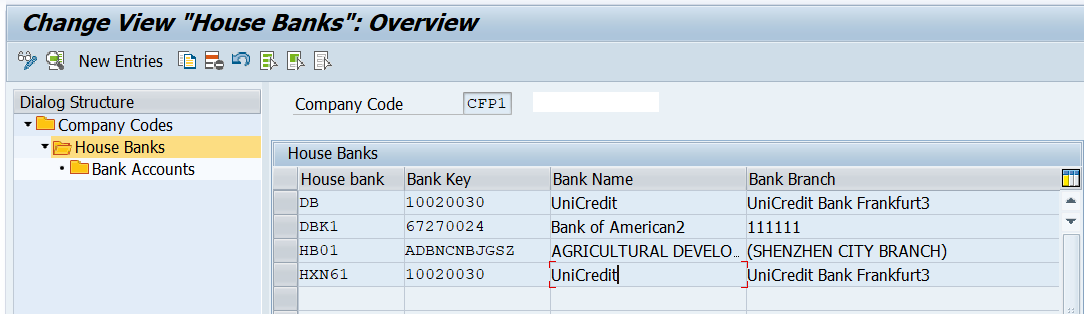 SAP银行账户管理（Bank Account Management）_sap house bank-CSDN博客