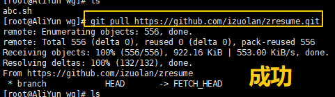 fatal: Not a git repository (or any of the parent directories): .git ...