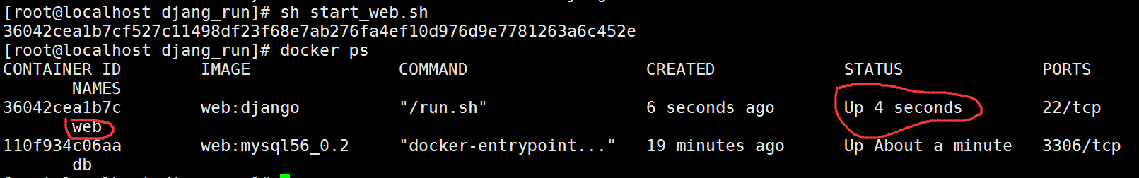 CentOS7基于docker部署django_centos7中如何将django项目放到docker里面启动?-CSDN博客