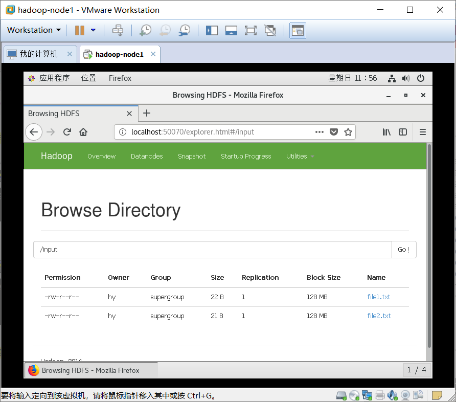 Hadoop的wordcount程序的简单使用(伪分布式的)_hadoop网页版查看wordcount-CSDN博客
