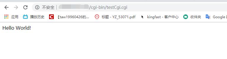 在linux上实现cgi内容在网页上显示_cgi显示视频流-CSDN博客