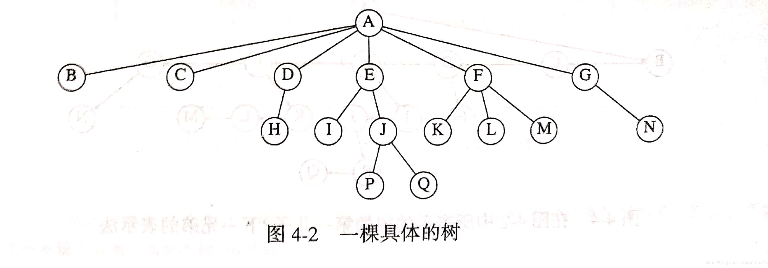 【数据结构no00004】c构建简单的adt二叉树 By Arttnba3在图论中树是任意两个顶点间有且只有一条路径的图。 树是由一个