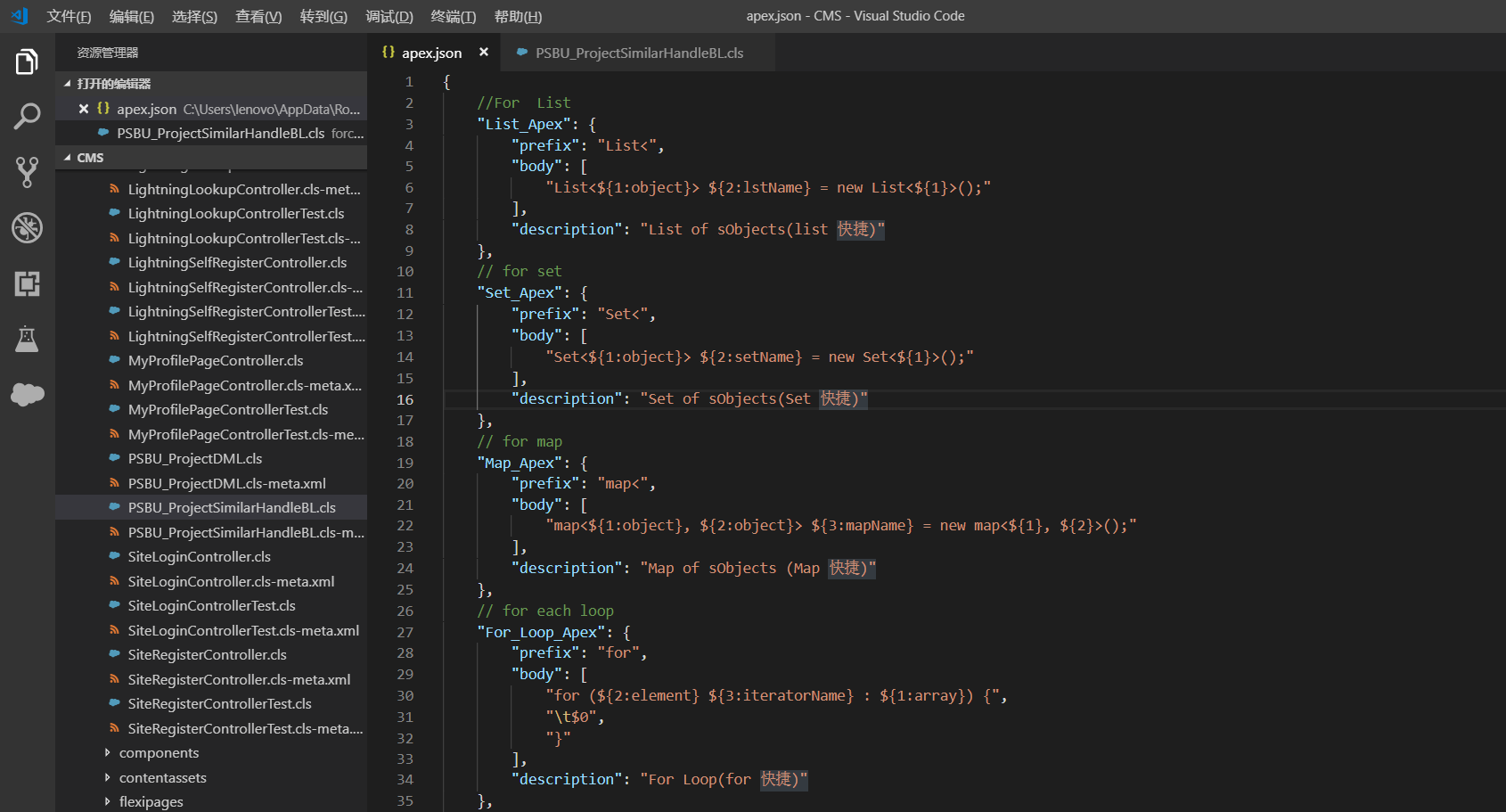 VsCode中的Apex自定义代码片段！_apex自定义管理员代码-CSDN博客