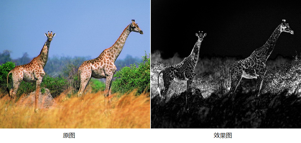 OpenCV—python 图像显著性检测算法—HC/RC/LC/FT_ac显著性检测python-CSDN博客