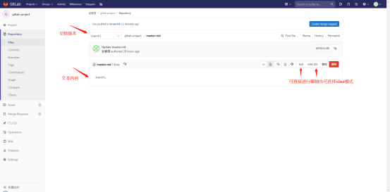 gitlab结合git、idea 分支合并 分支创建 冲突解决大全_gitlab ide merge-CSDN博客