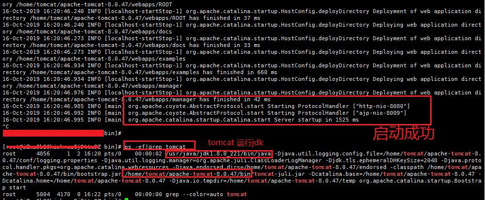 Tomcat--Linux下如何通过tar.gz安装包搭建tomcat_tomcat.tar.gz-CSDN博客