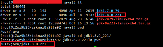 Java--JDK环境搭建（Linux）_#jdk export java_home=/usr/java/jdk1.8.0_221 expor-CSDN博客