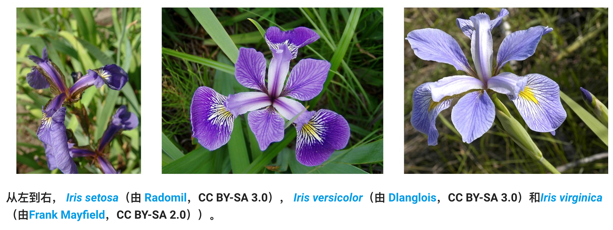 sklearn中的KNN算法实现鸢尾花分类_鸢尾花 knn sklearn-CSDN博客