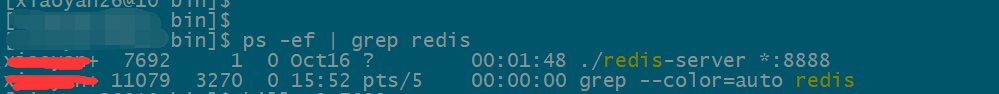 如何杀死redis进程kill 9 Redis进程号 Csdn博客