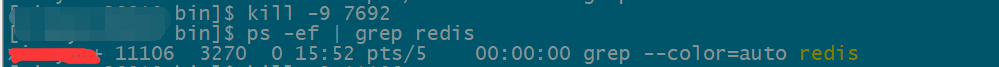 如何杀死redis进程_kill -9 redis进程号-CSDN博客