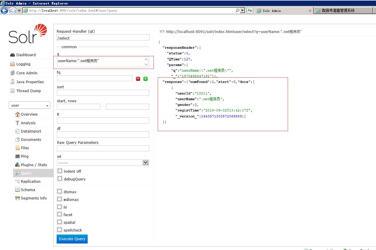Solr 精准查询和模糊匹配solr限定标点符号的模糊搜索 Csdn博客 