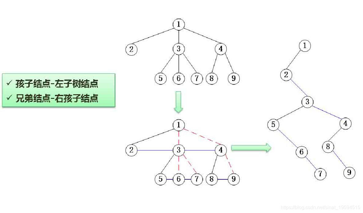 30分钟看完数据结构和算法原理(包括二叉树,图,各种排序算法)算法与数据结构试讲 Csdn博客