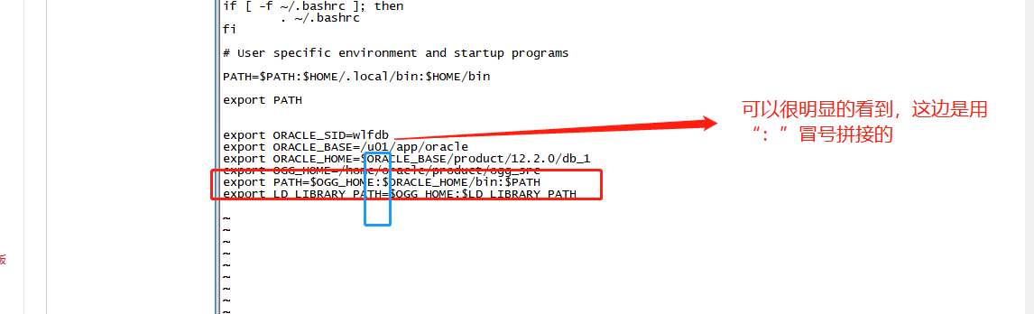 Linux中path环境变量配置多个路径 环境变量多个路径 Csdn博客