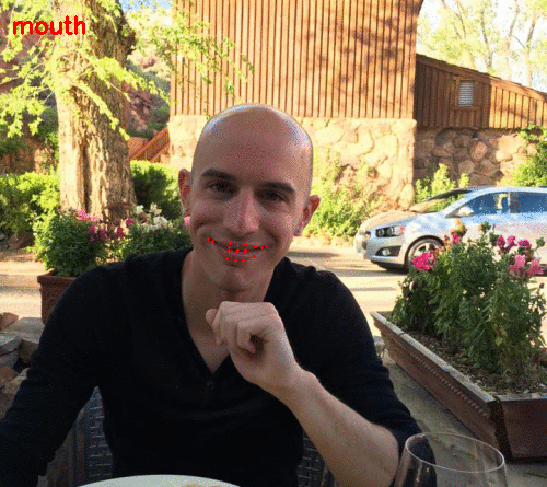 【Facial landmark detection】Detect eyes, nose, lips, and jaw with dlib, OpenCV, and Python_facial ...