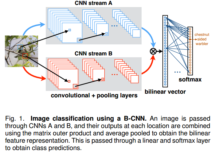 Bilinear CNNs for Fine-grained Visual Recognition-CSDN博客